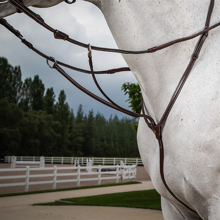 Martingal - US Jumping Collection - Dahrve