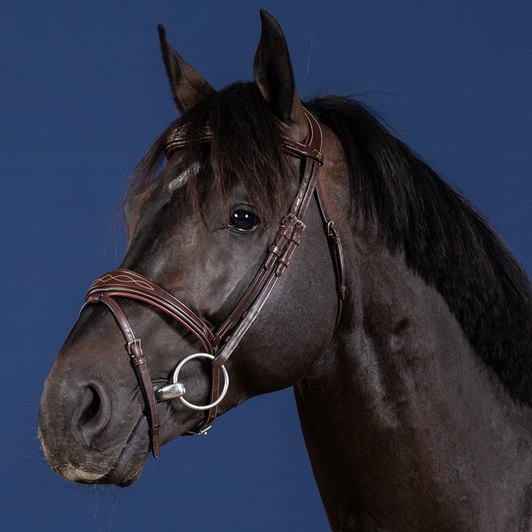 Träns Anatomisk Nosgrimma - US Jumping Collection