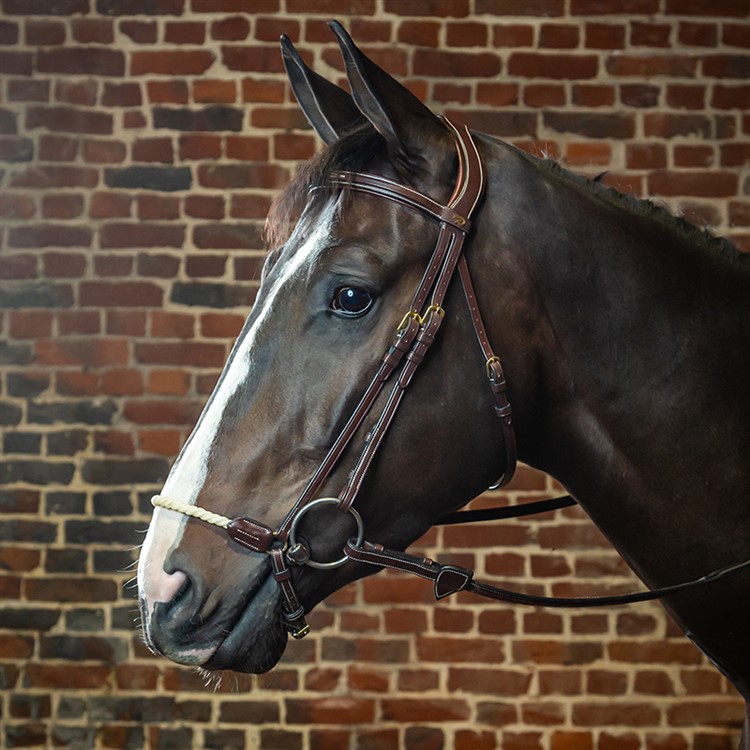 Träns Remontnosgrimma Rep - Dyon Collection