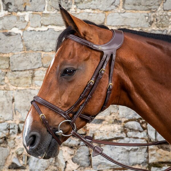 Träns Kombinerad Nosgrimma - Dyon Collection - The Difference