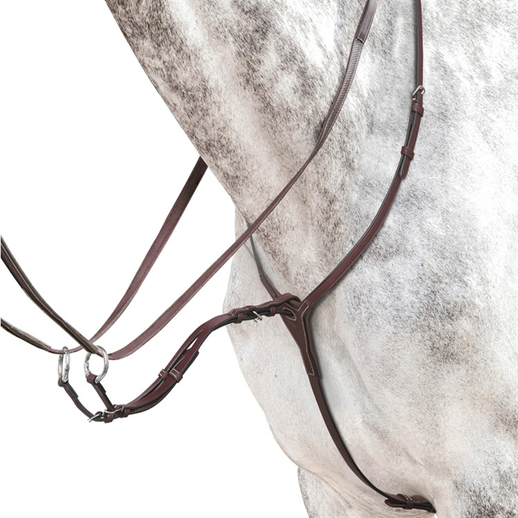 Martingal / Yoke - D37 Evo